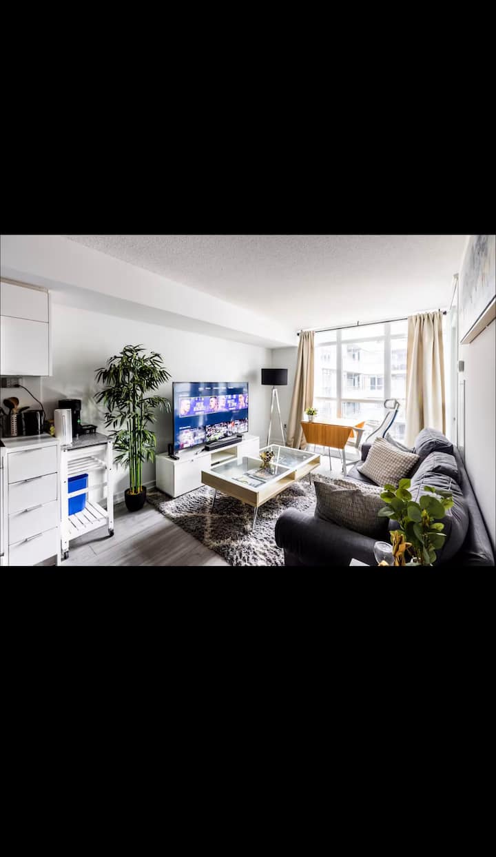 Central & Stylish I 2 Br I Free Parking ! - Toronto