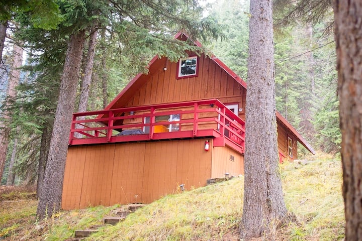 Romantic & Cozy Cabin In The Woods - Tamarack Ski Resort, ID