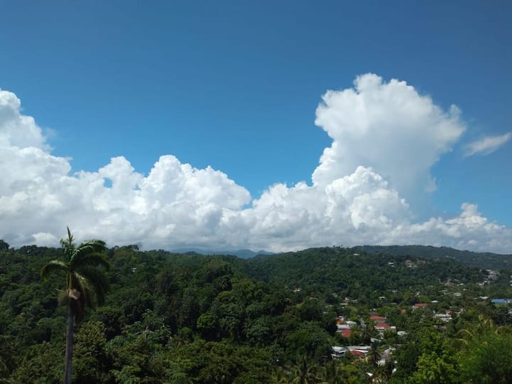 Hideaway Suite - Port Antonio