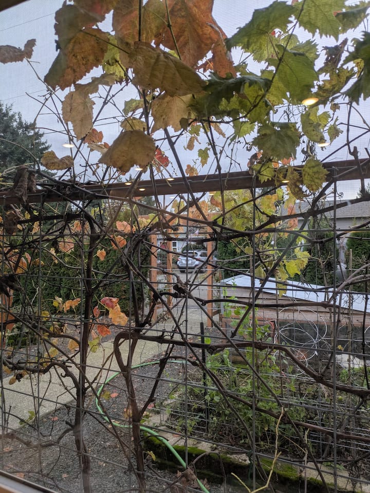 Cozy Home Near Olympia Trails - Olympia, WA