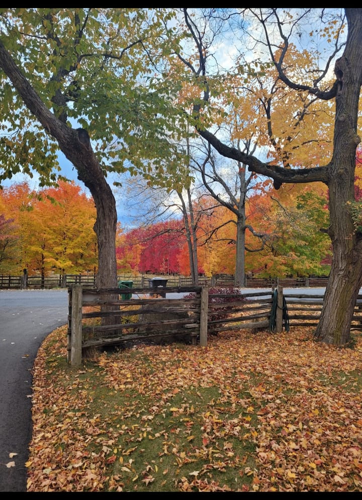 Stargazer's Haven: Secluded 4- Acre Country Escape - Hockley Valley, ON