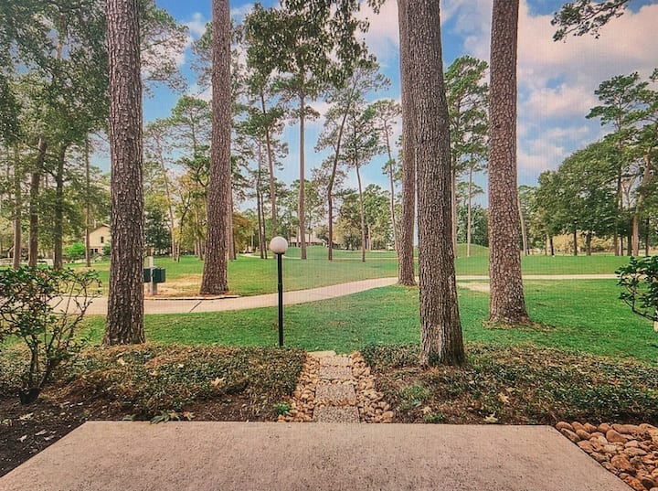 Stunning One Bedroom Apartment Embedded In Nature. - Conroe, TX