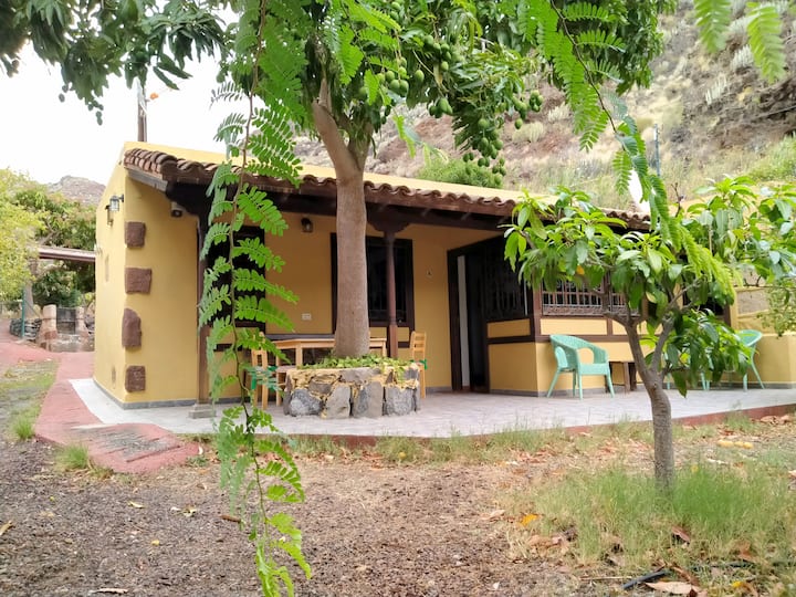 Casa B - La Laguna