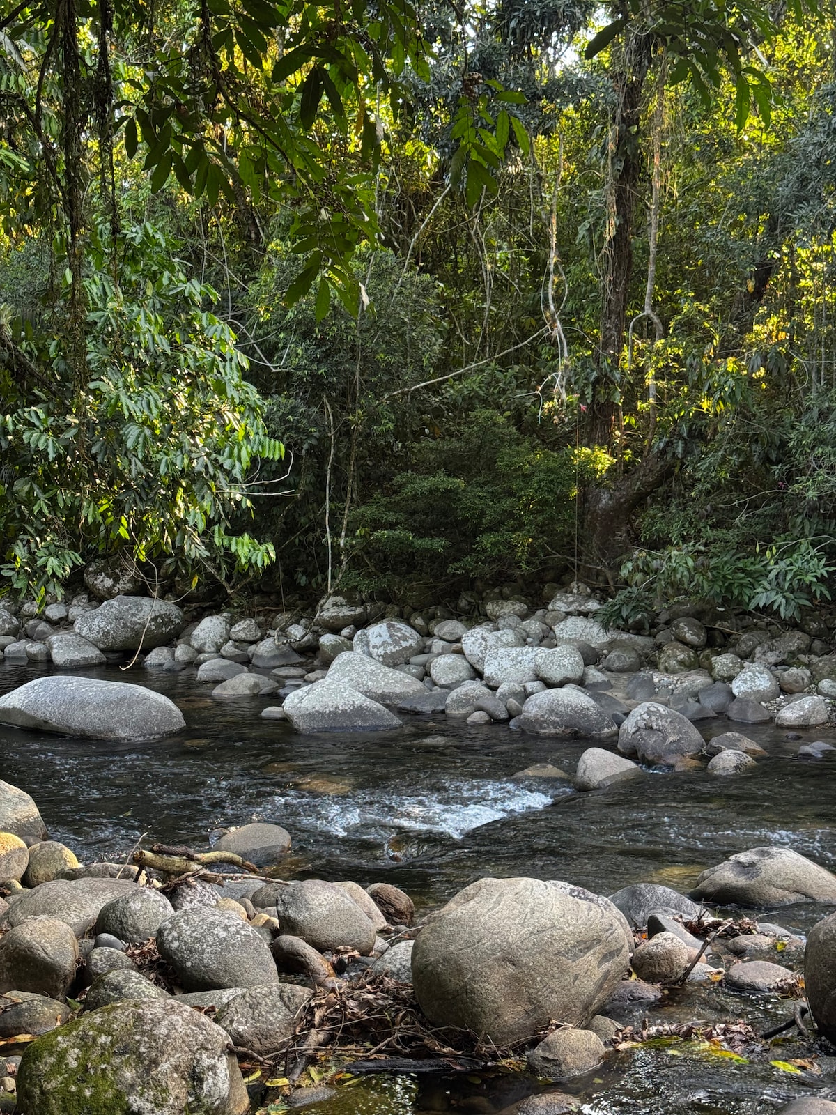 House by the river, an ecological paradise. - Houses for Rent in ...