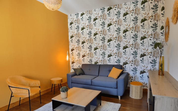 Grand Apt 7 Prs Centre Confolens - Location Sem - Lessac