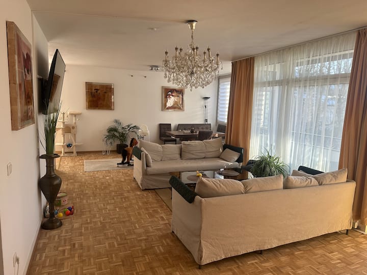 Im Herzen Der Stadt Salzburg - Salzburg