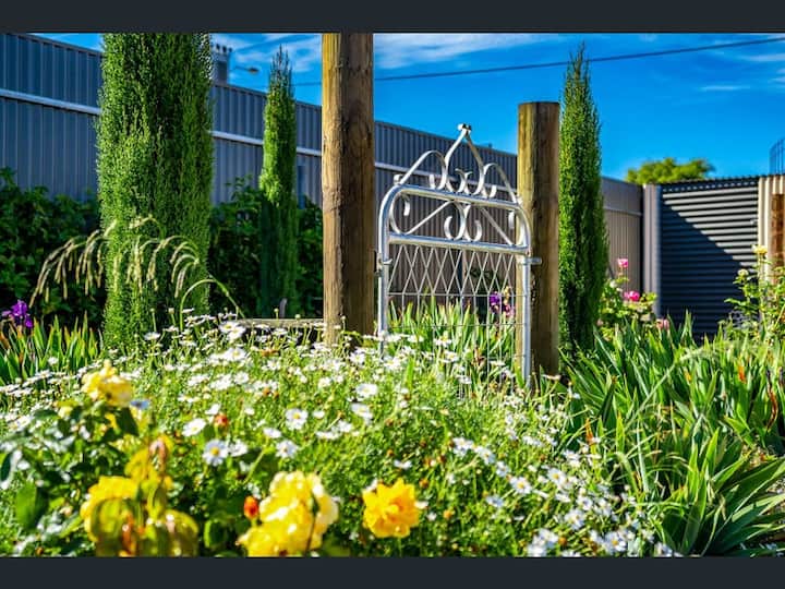 The Blue Wren Nest - Hindmarsh Island