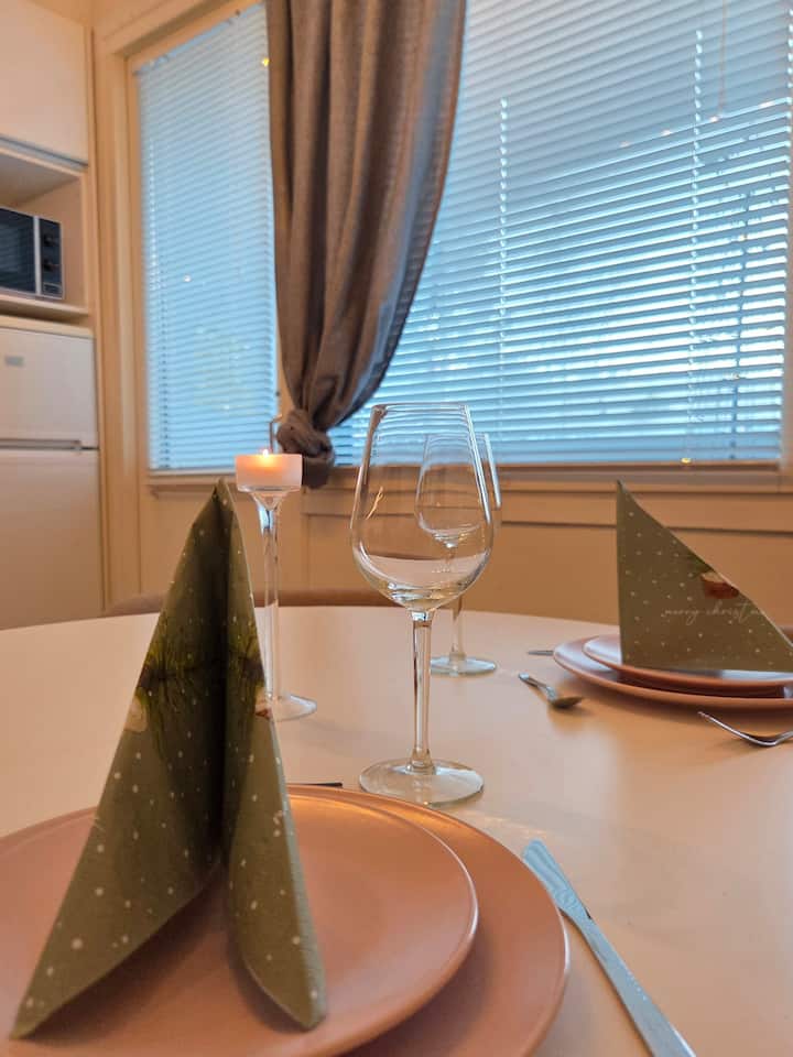 Freshly Renovated One-bedroom Flat - Kotka