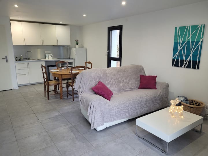 Appartement T3 Calme Dans Une Maison D'architecte - La Roche-sur-Foron