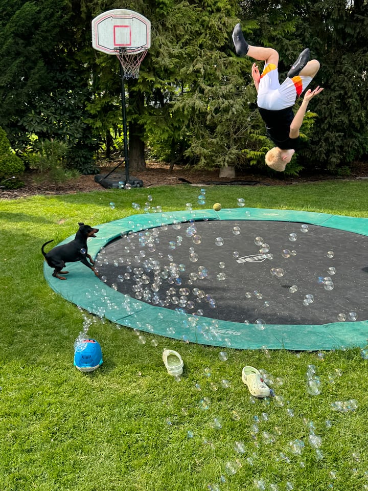 Luxuriöse Villa Mit Swimmingpool In Neuss - Neuss