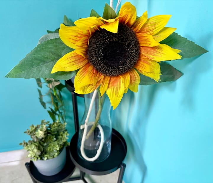 Cerca De La Playa Y Plaza Cataluña Barcelona. - Badalona