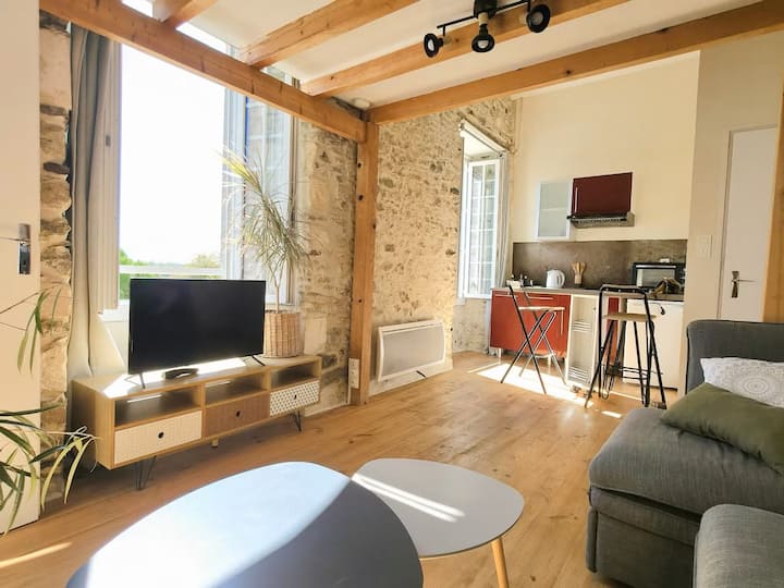 Appartement Bord De Mer. - Olonne-sur-Mer