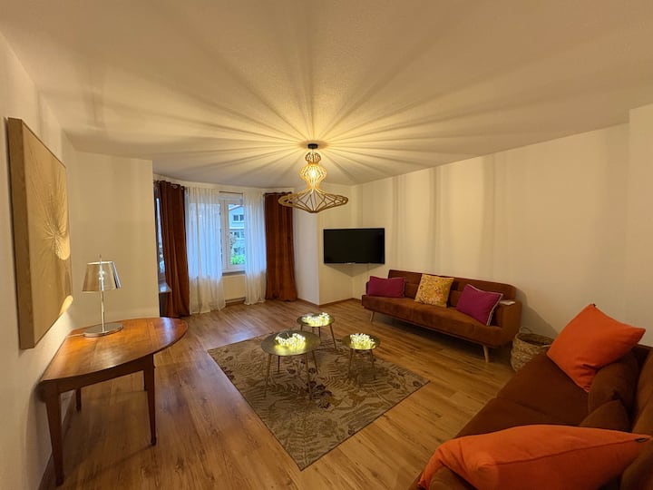 Appartement De 3 Pièces (73 M2) Rénové, Meublé - Mulhouse