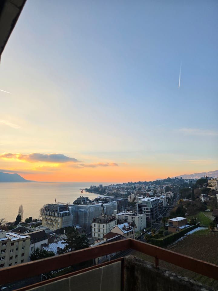 Très Bel Appartement Avec Vue Imprenable - Vevey