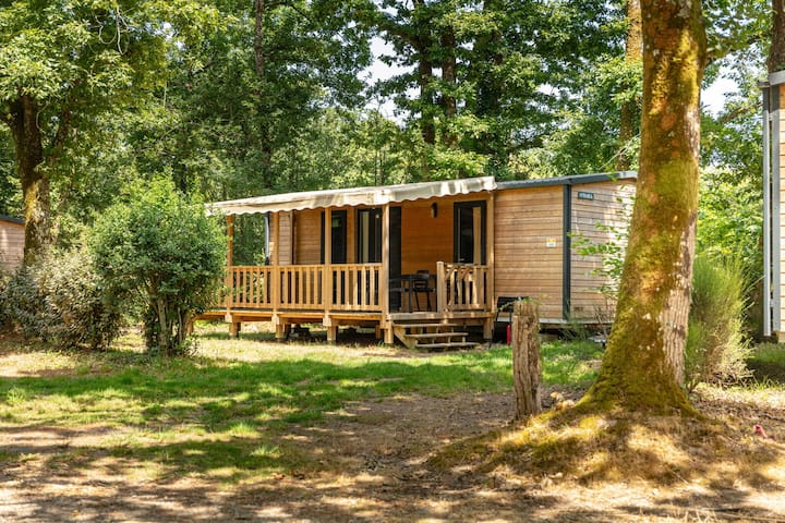 La Vie De Château Dans Le Parc Du Camping La Forêt - Aizenay