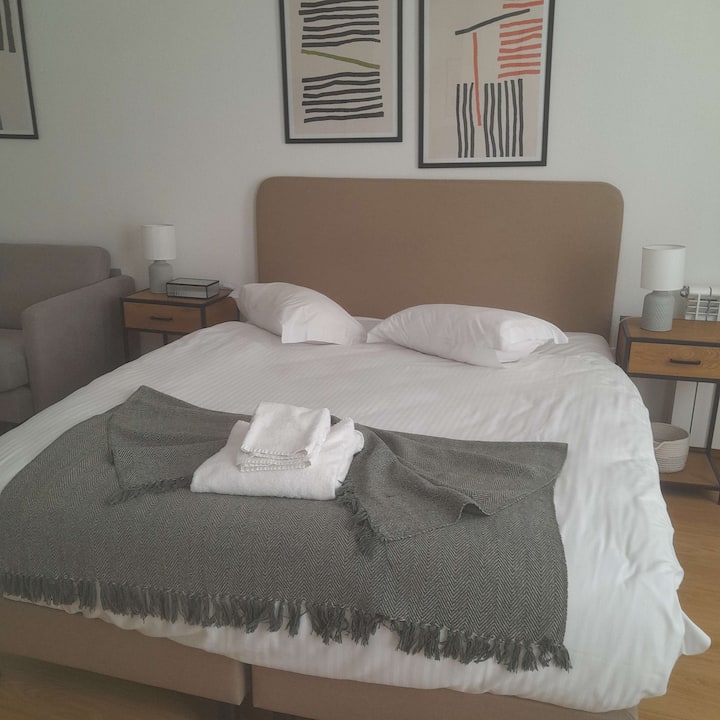 Sous-location Dans Le Centre De Lausanne (Janvier) - Lausanne