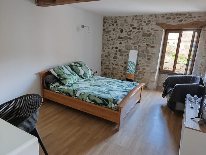 Maison De Village 2 Chambres - Castres