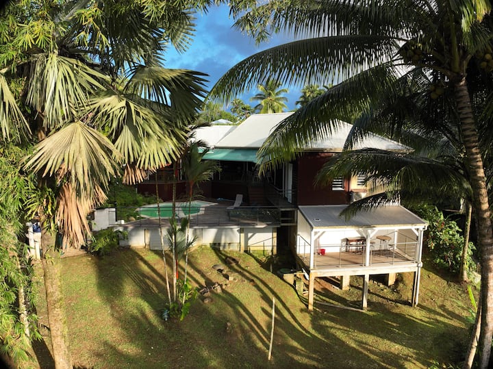 Les Danseurs De La Forêt - Guadalupe