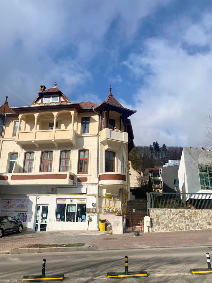 Apartament Noel Sinaia Central - Sinaia