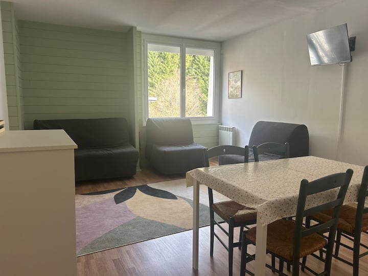 Studio Rénové 4 Personnes à 300m Des Pistes - Gourette