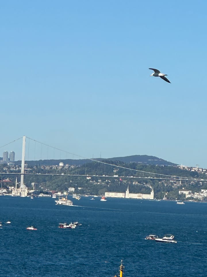 Boğaz Manzaralı Lüx Suit Oda - Istanbul