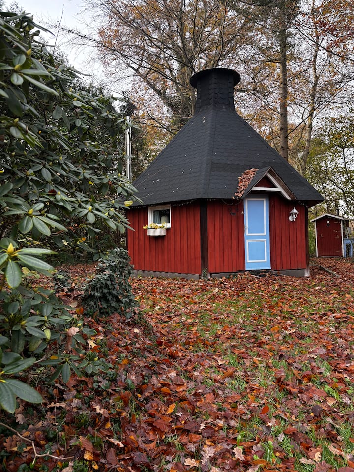 De Finse Kota - Haren