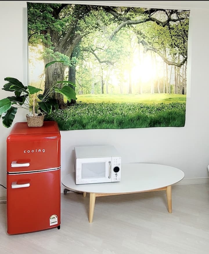 1)단독공간.킨텍스,호수공원10분. 홍대30분.
일산역앞 큰방  4~5명/가족여행,장기출장 - 운양동