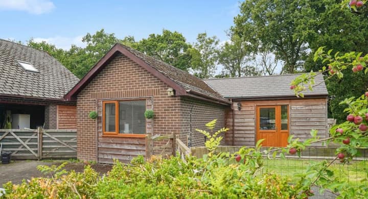 A Luxury Retreat In The Heart Of Nature - Lampeter