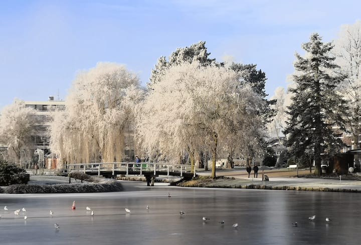Moderne 3-zimmer-wohnung Am Rosarium - Elmshorn