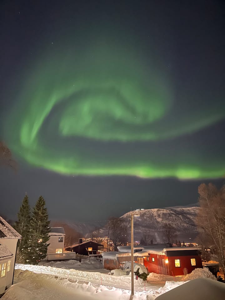 Sjarmerende Og Genuin Vinteroase Sentralt I Tromsø - Tromsø