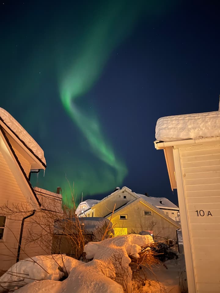 Sjarmerende Og Genuin Vinteroase Sentralt I Tromsø - Tromsø