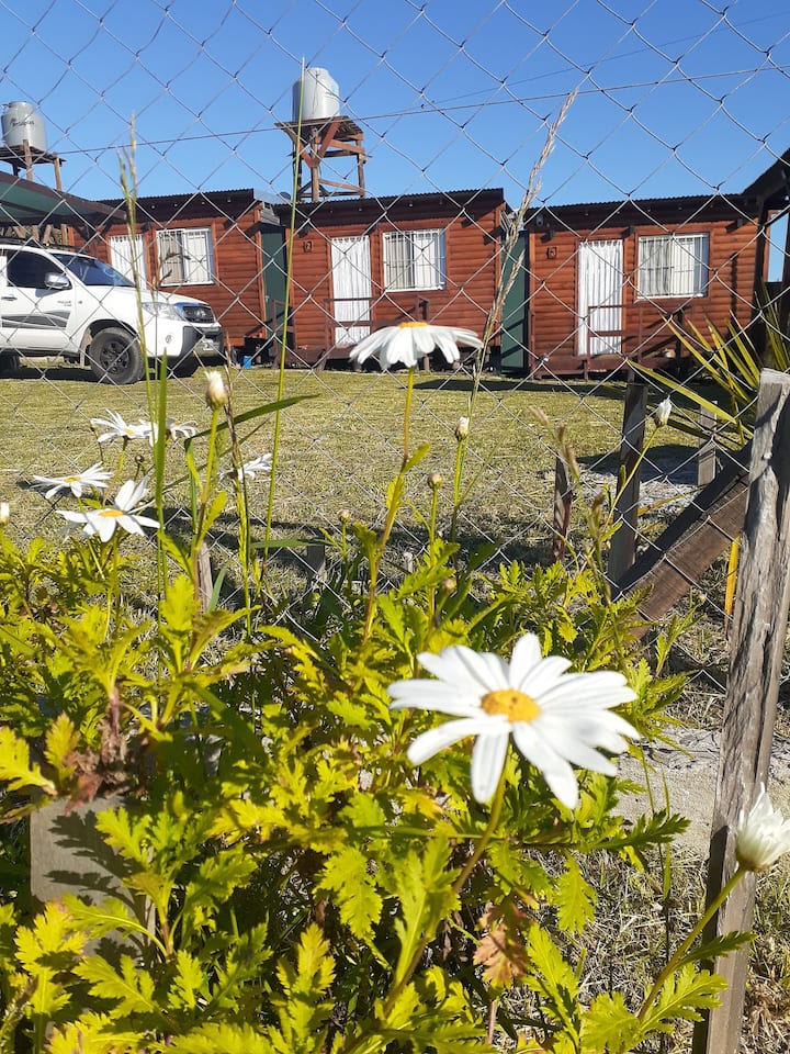 Entre El Campo Y El Mar
Tu Lugar Ideal De Relax. - Miramar