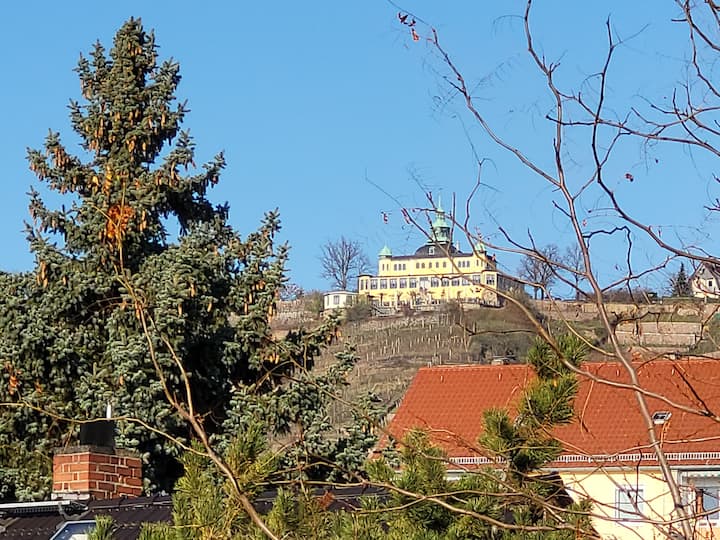 Ruhige Maisonettewohnung Mit Blick Ins Grüne - Radebeul