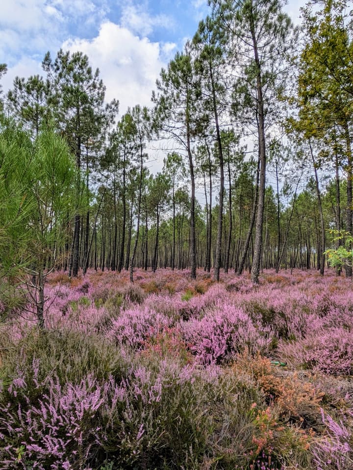 Bienvenue Chez Ker Chryvtiane - Labouheyre