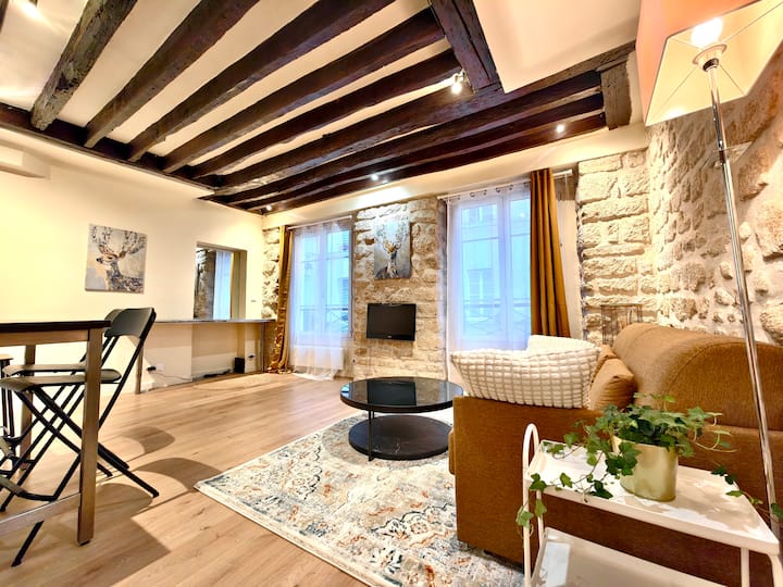 Paris Loft For 4  By Châtelet / Montorgueil/ Metro - Louvre Museum - Paris