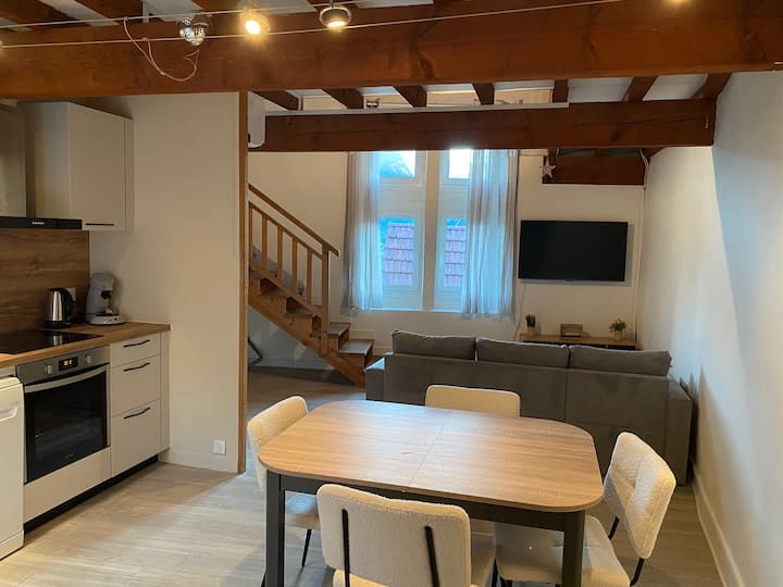 Duplex-bâtiment Historique, Cœur Du Vieux Voreppe - Voiron