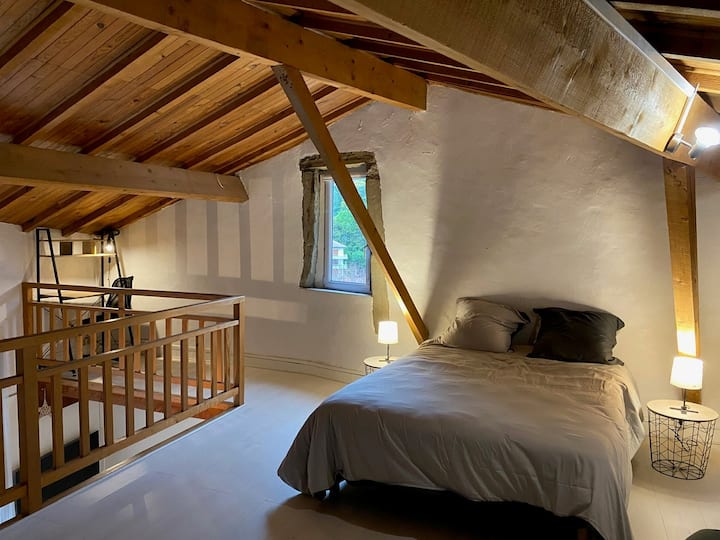 Duplex-bâtiment Historique, Cœur Du Vieux Voreppe - Autrans