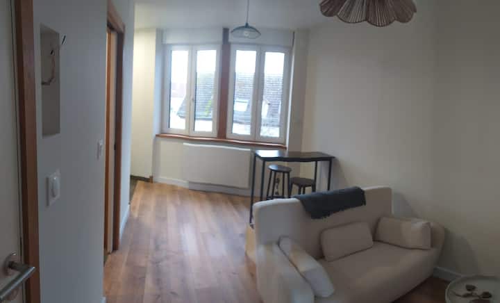 L'appartement Chaleureux. - Strasbourg