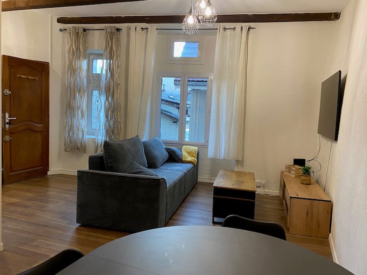 T2 - Bâtiment Historique, Au Cœur Du Vieux Voreppe - Voreppe