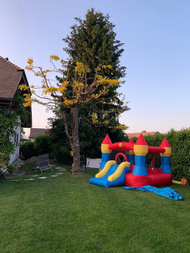 House With Vineyards In Commugny - Ferney-Voltaire