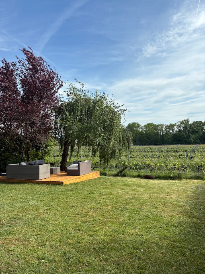 House With Vineyards In Commugny - Nyon