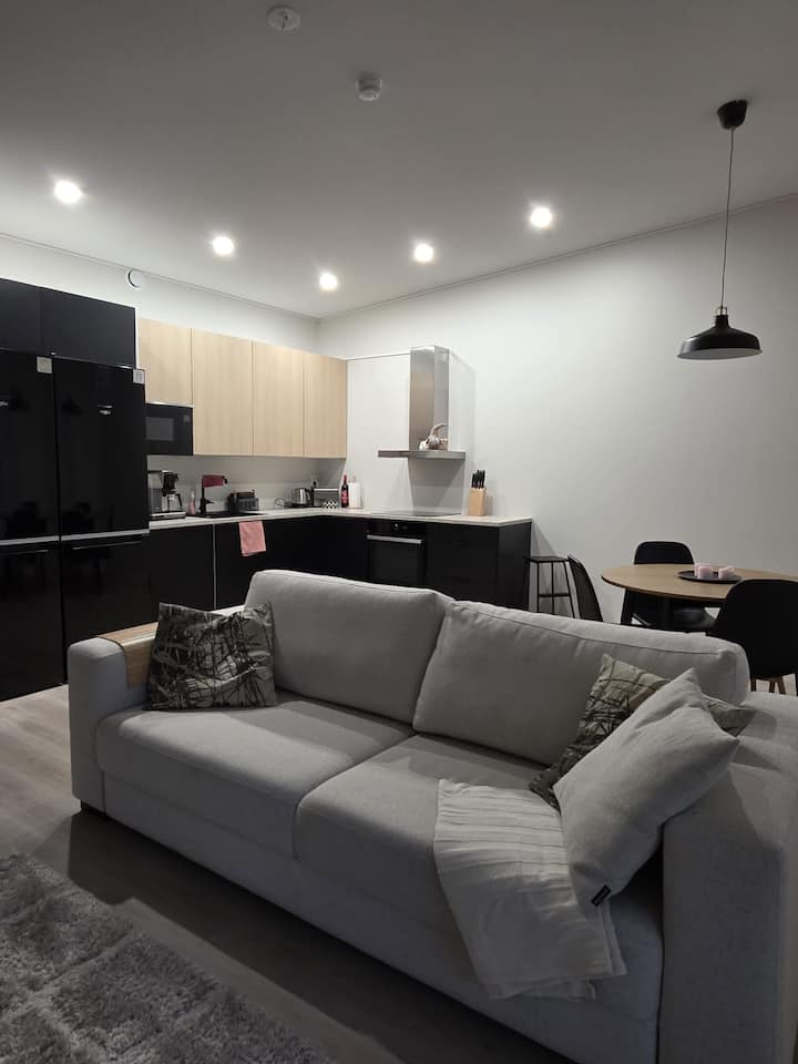 Uudehko Tilava Kolmio Saaristokaupungissa - Kuopio