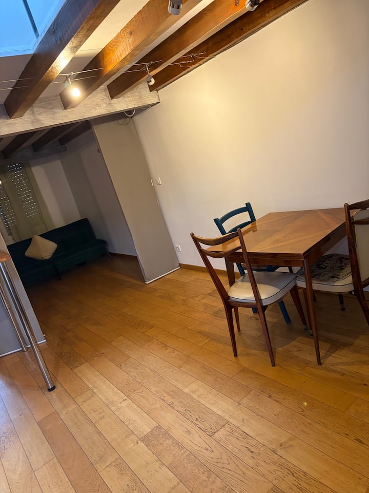 Simple Appartement Pour Un Bel Séjour - Tournefeuille