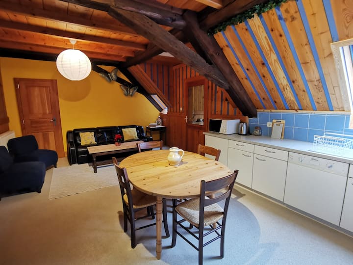 Appartement Nature à 20 Min Des Marchés De Noël - Orbey