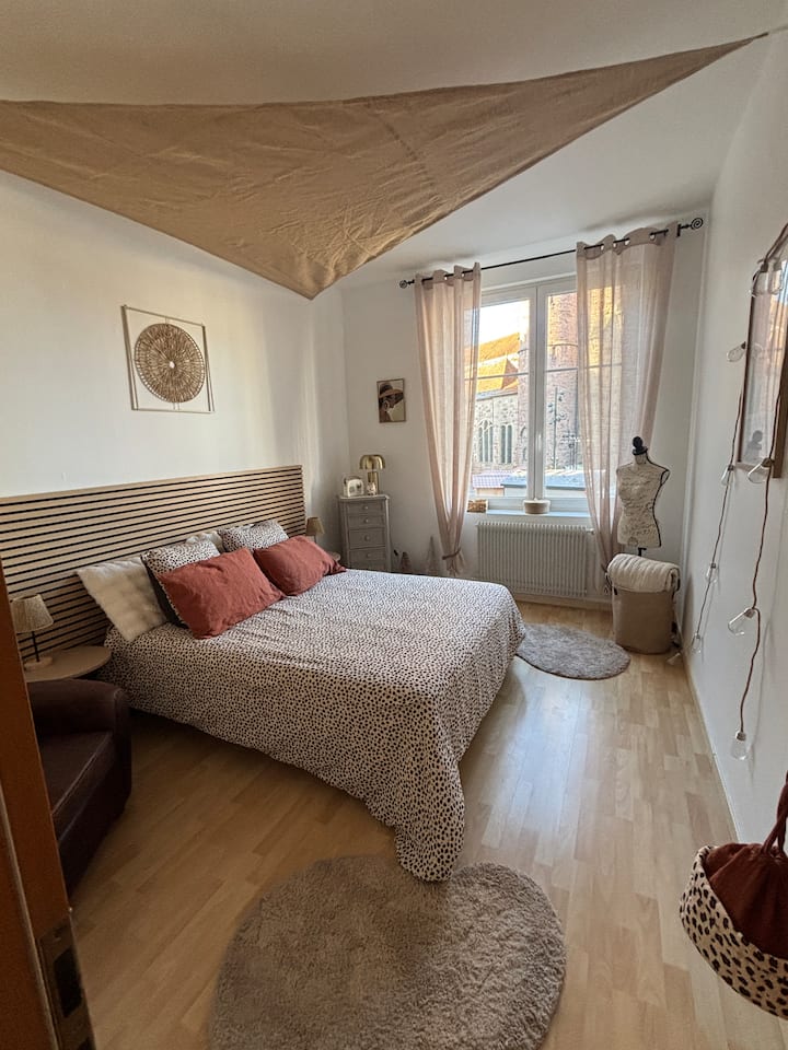 Place De L’âtre : Vue D’exception Sur La Basilique - Épinal