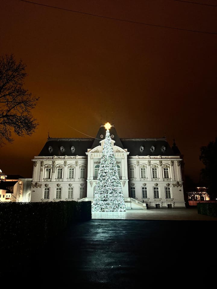 Union City Centre Apartment - Craiova