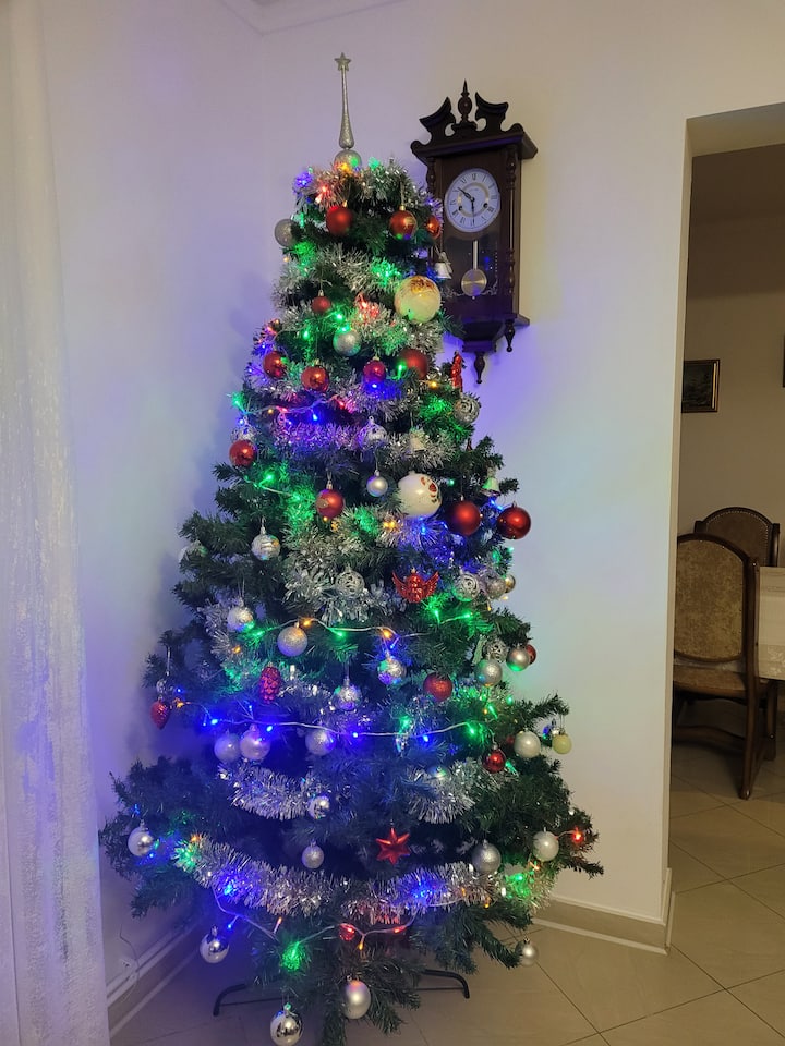 Casa Camelia - Bicaz