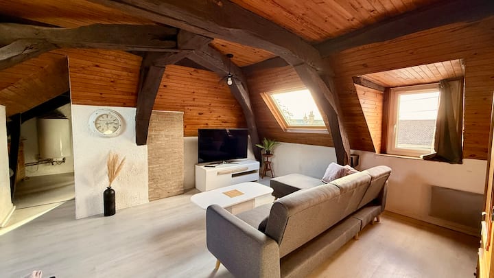 Studio Rénové Et éQuipé à Fleury Les Aubrais - Saran