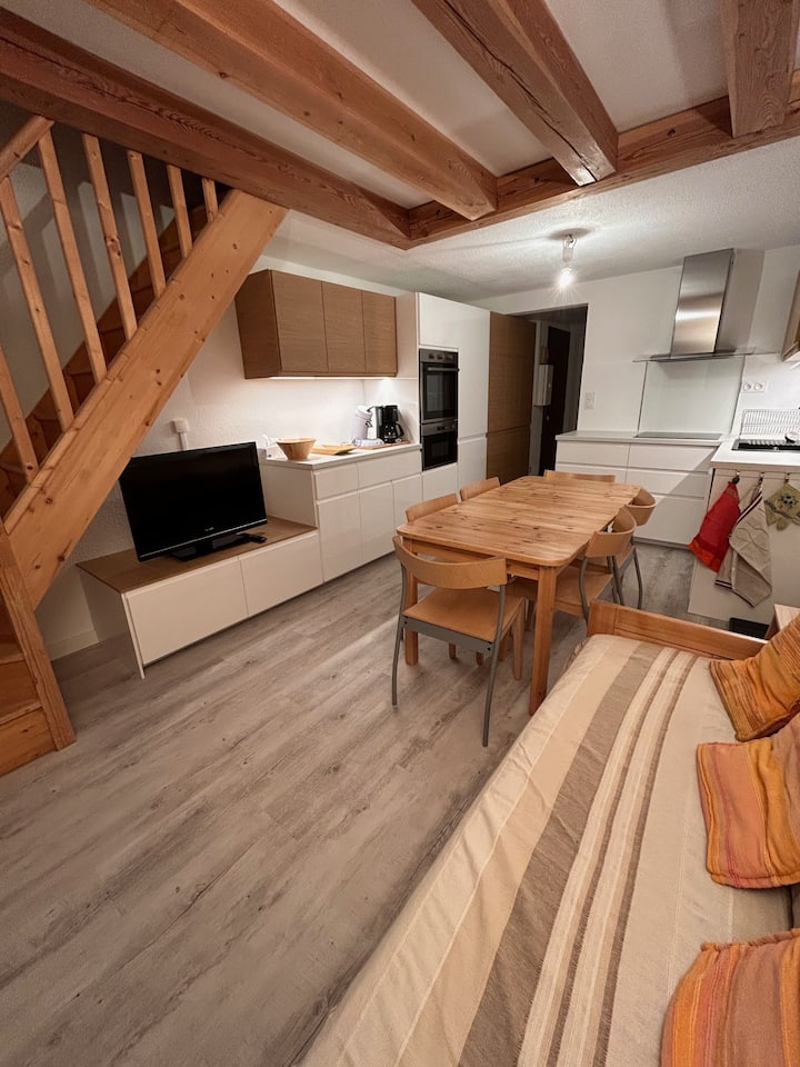 Superbe Duplex Front De Neige Au Pied Des Pistes - Risoul