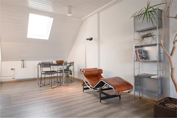 Loft Of An Architect - Bâle